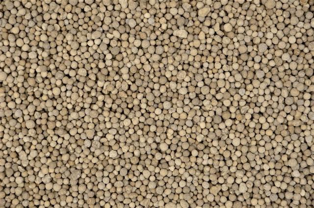 Nitrate d'ammoniaque - Engrais - Thomas Spoden - Engrais - aliments betail